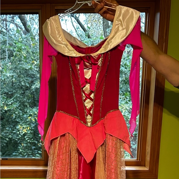 Other | Adult S Sleeping Beauty Costume Never Worn Perfect Condition ...